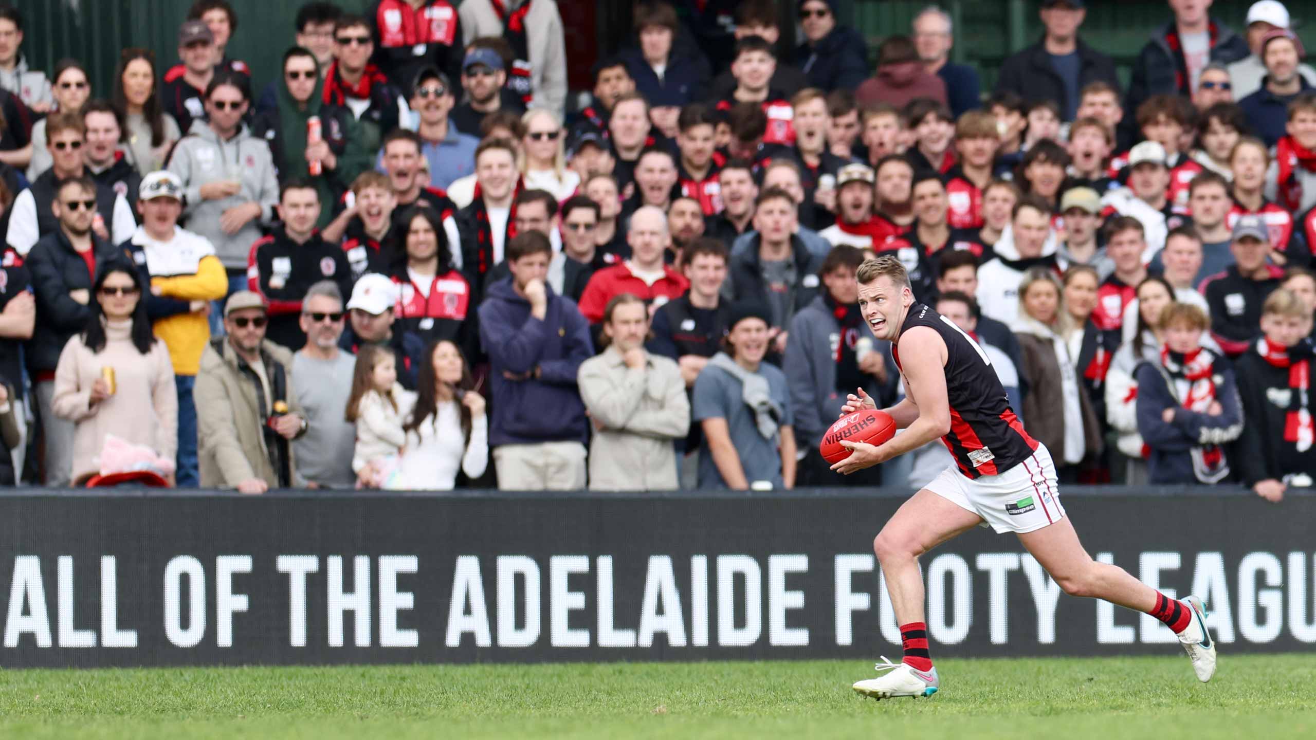 PlayHQ - Adelaide Footy League | Footyleague