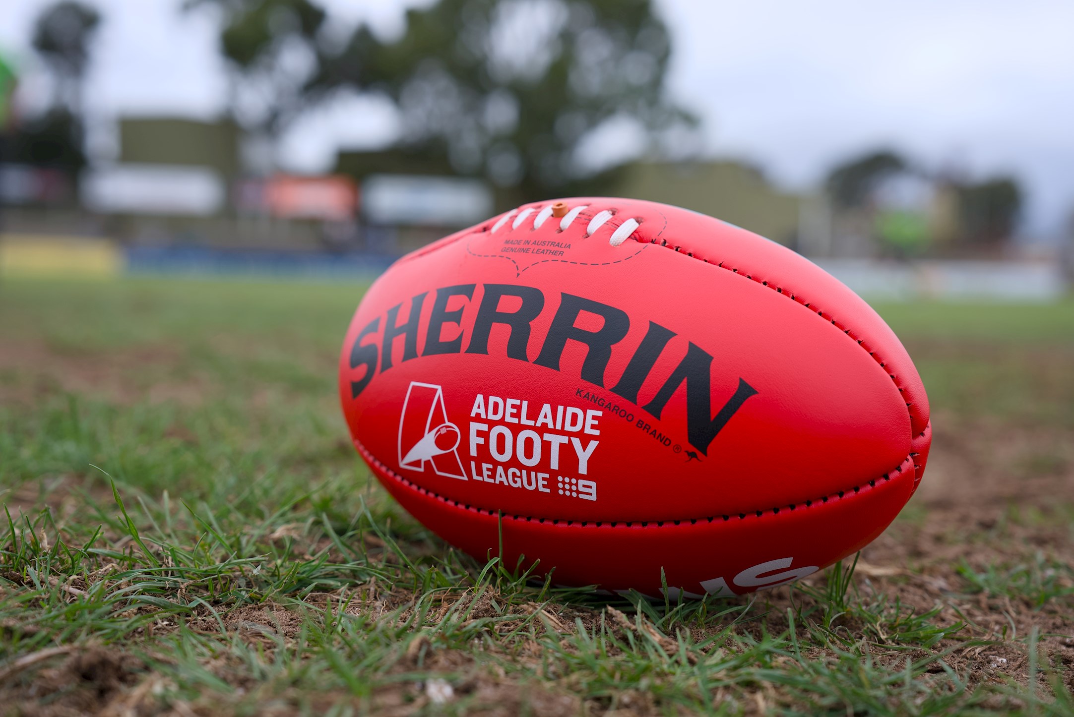 ALL Fixtures & Results - Adelaide Footy League | Footyleague